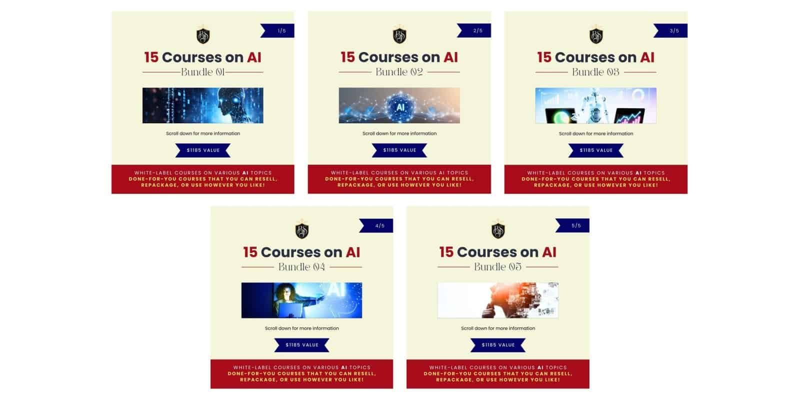 AI COURSES to RESELL - Bella St John International